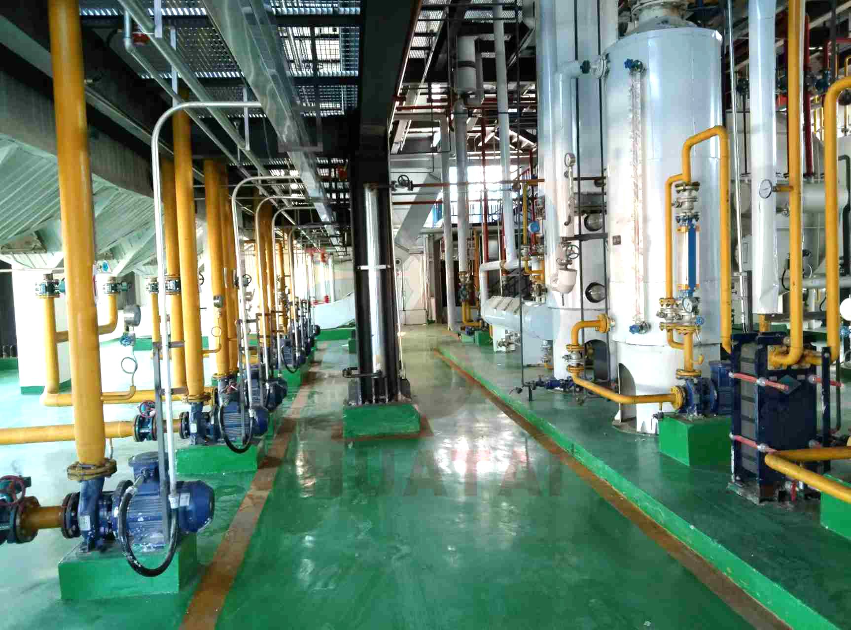 Comparison of Extraction Methods: Solvent Extraction vs. Pressing in ...