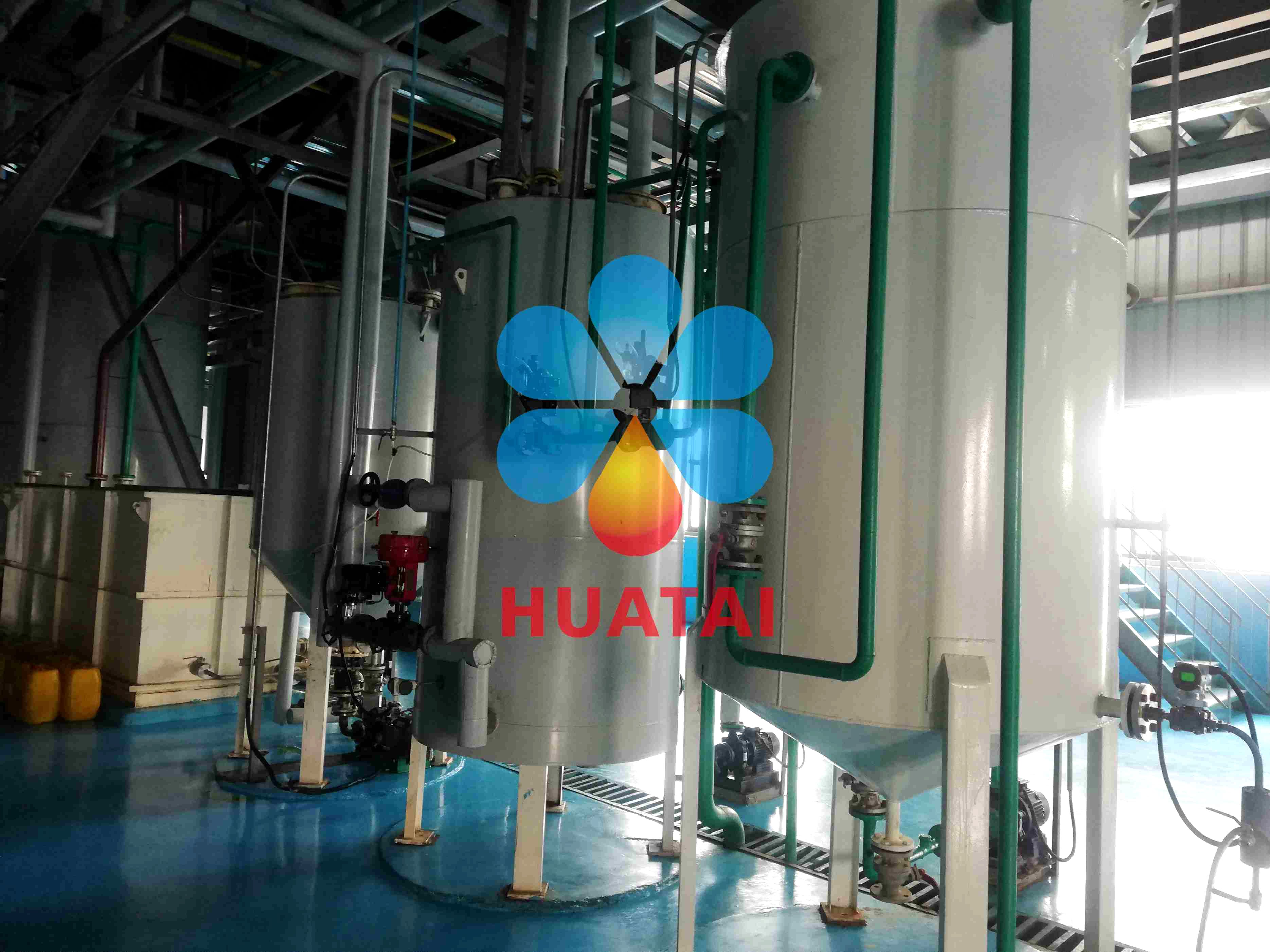 Efficient and High-Quality Grape Seed Oil Production: Methods and Equipment