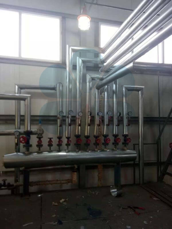 How to Extract Sunflower Seed Oil Efficiently?